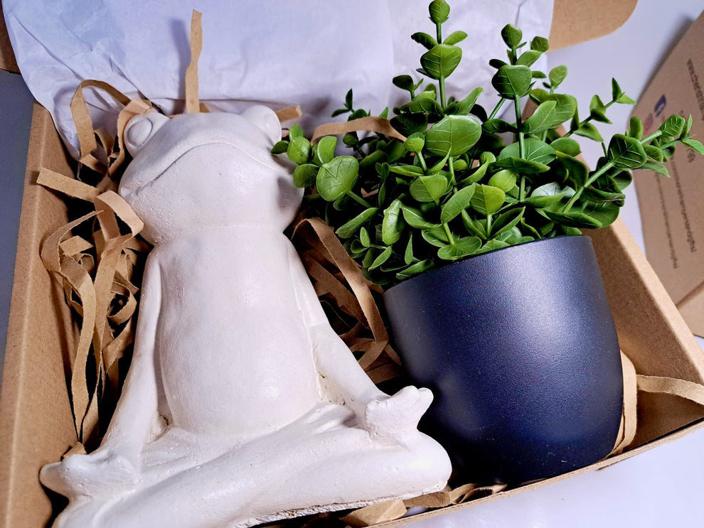 Yoga Frog Hamper – Cherish Hampers & Gifts